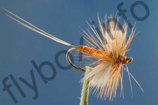 Sherry Spinner Fly - Fishing Flies with Fish4Flies Worldwide